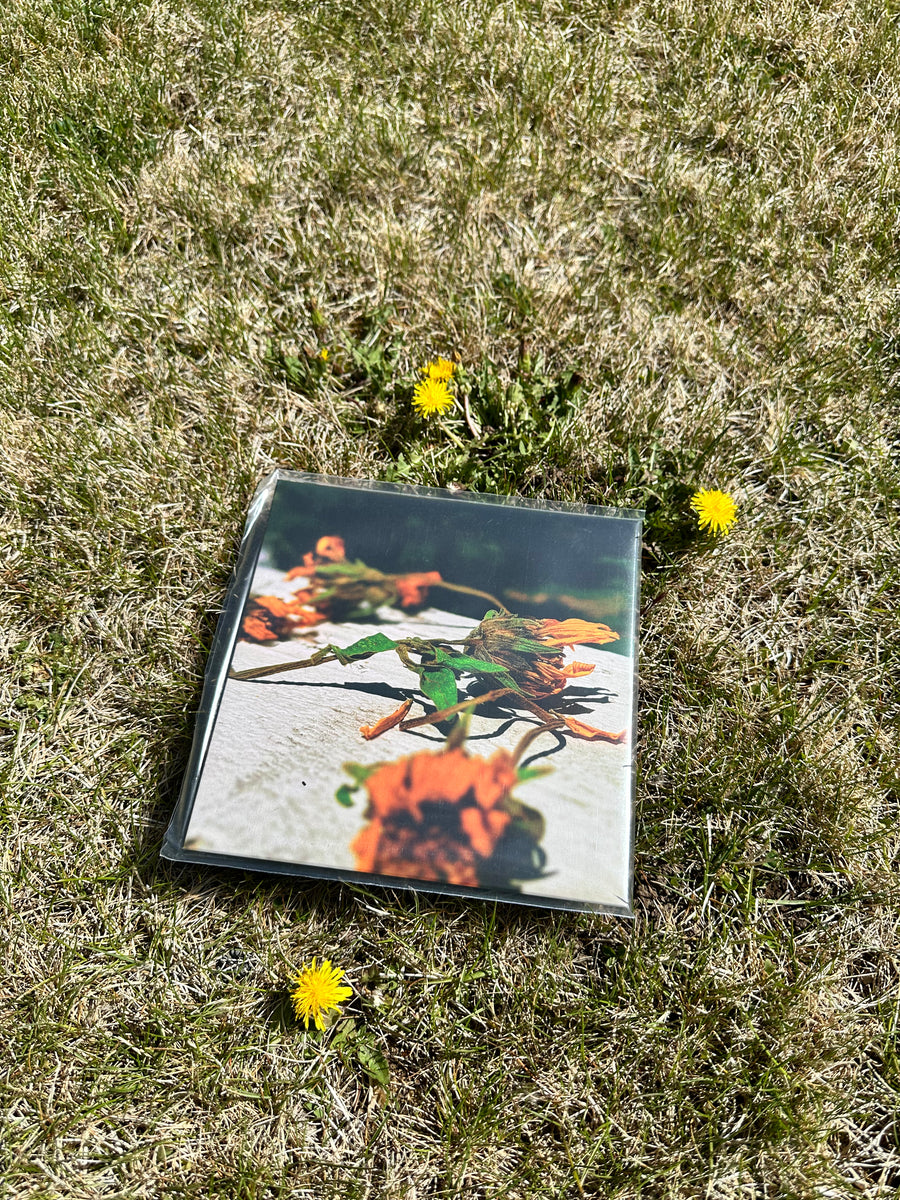 Healing Splatter 7" Vinyl – Supertask